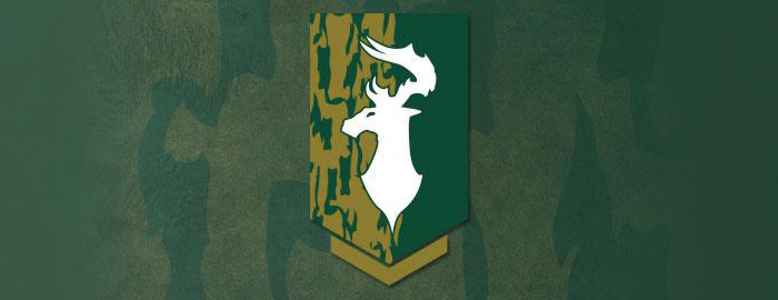 Factions in D&D 5E – The Emerald Enclave – Andrew J. Luther